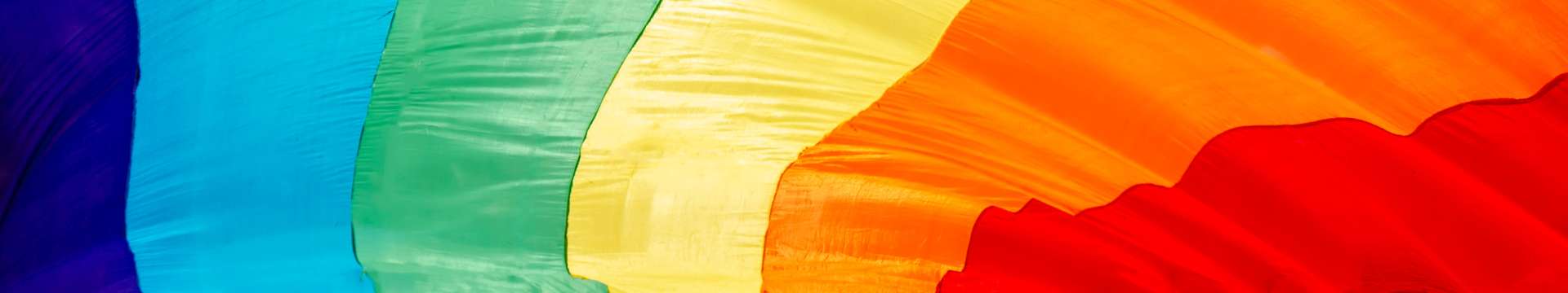 Bandera LGBT - Origen y las 50+ variaciones - goMadridPride